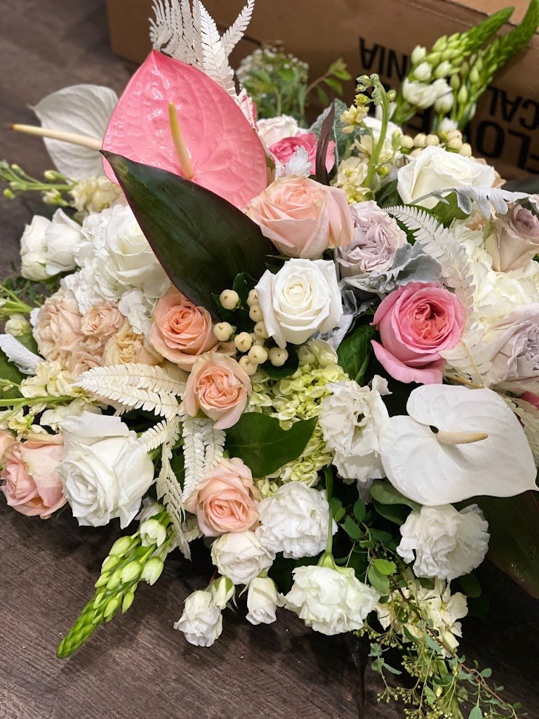 Allen Family Funeral Options - Funeral Homes Listings